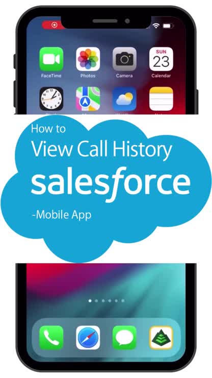 View Call History