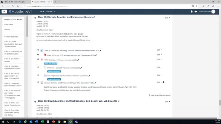 Class 28: Final Project Example Video