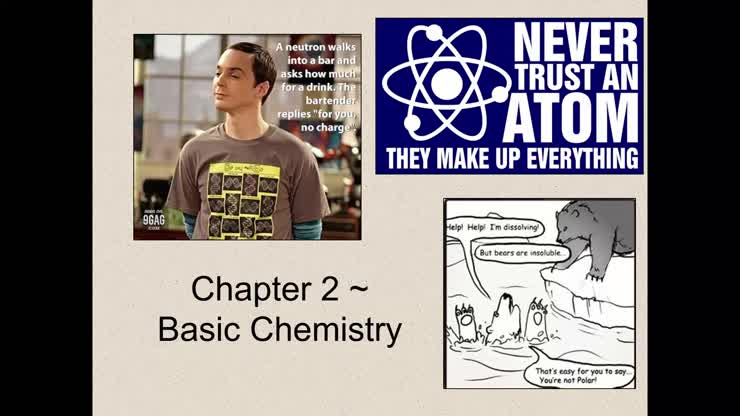 Chapter 2 - Basic Chemistry