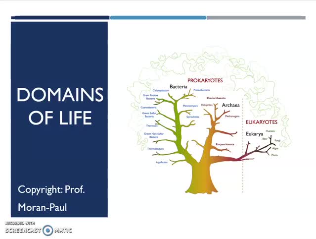 Chapter 8.1-8.4 Lesson 1 Domains of Life