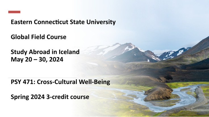 Global Field Course to Iceland