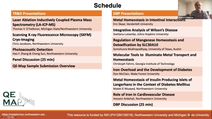 QE-Map: Quantitative Elemental Mapping for the Life Sciences