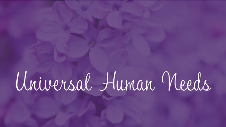 Universal Human Needs