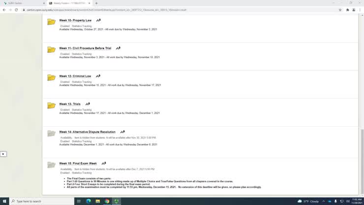 Week 13 (Day 1) Video