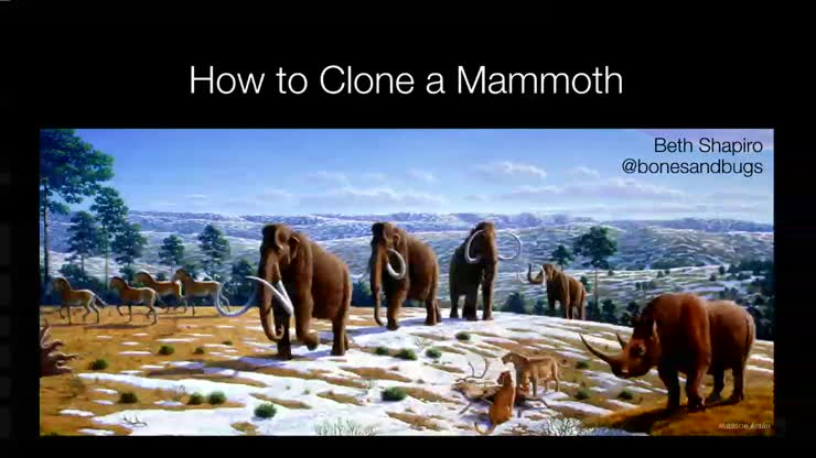“How to Clone a Mammoth: The Science of De-extinction" - Beth A ...