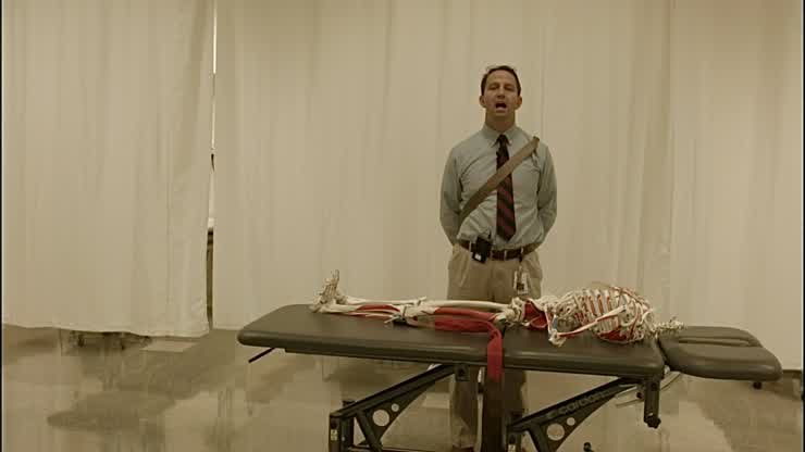 Caudal Glide - Skeleton & Live