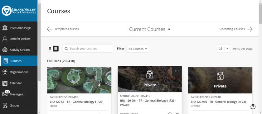 Introduction to blackboard