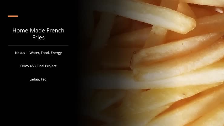 French fries Water food energy nexus