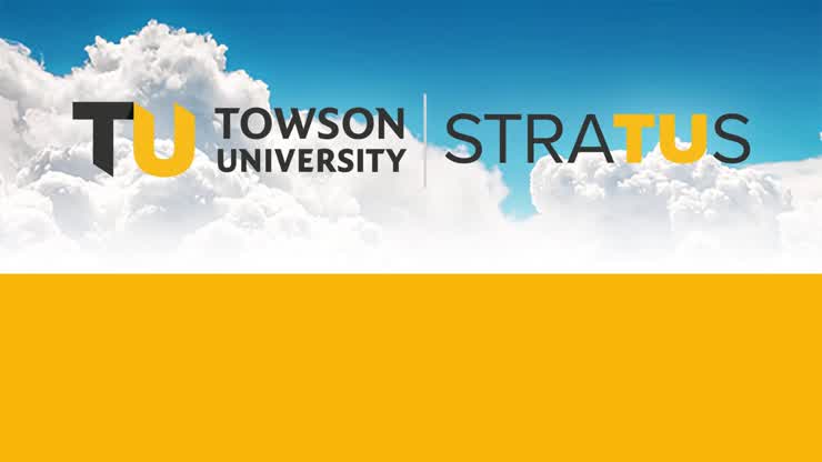 Stratus_ View Life Cycle