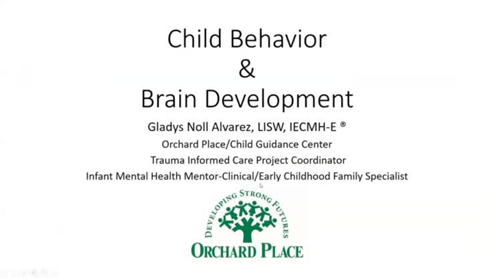 Child Behavior & Brain Development