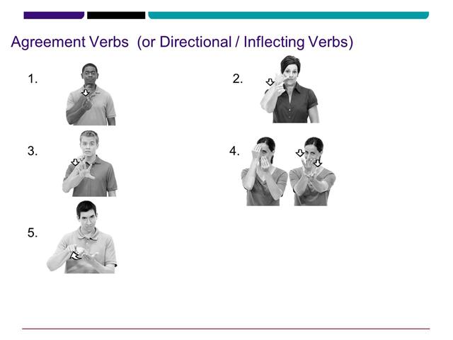 Lesson 8.3 - Agreement Verbs