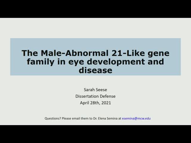 Sarah Seese Dissertation Defense