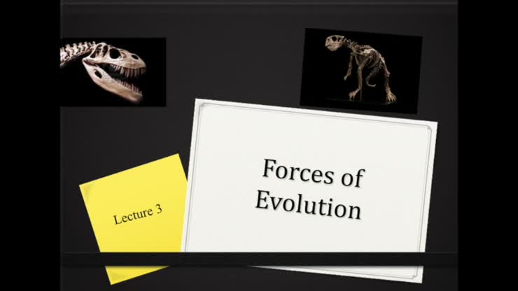 Lecture Forces of Evolution