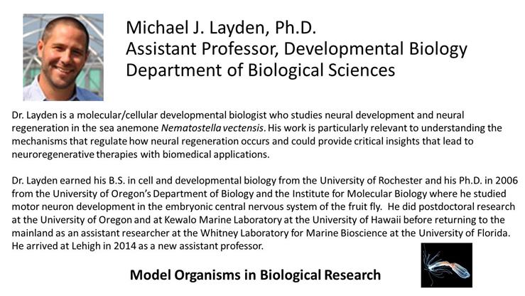 F16/Bios90-10 - #20 - Michael Layden - 10/21/2016 (Fri)