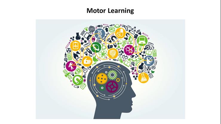 Motor Learning and Discharge CVA