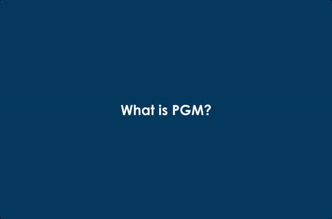 2 What is PGM?