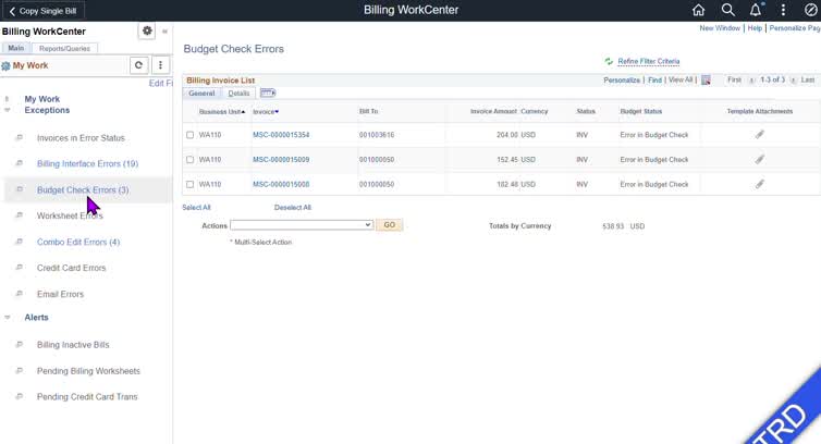 BI_Correcting Budget Check Errors - No Audio