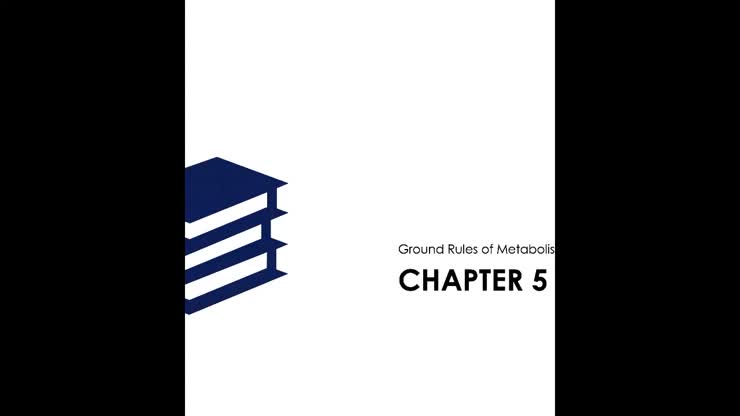 Chapter 5 Part 3