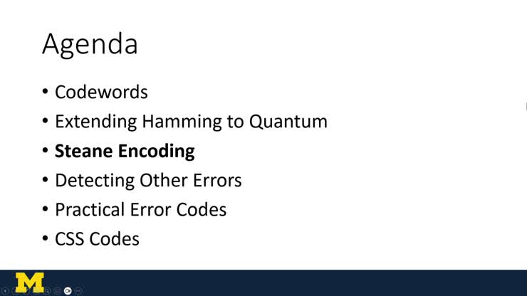 Lecture 20 - Part 03: Steane Encoding