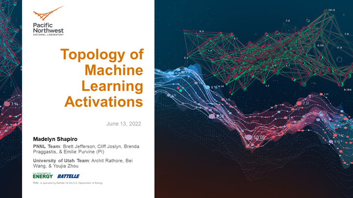 Madelyn Shapiro*, Pacific Northwest National Laboratory, Topology of ...