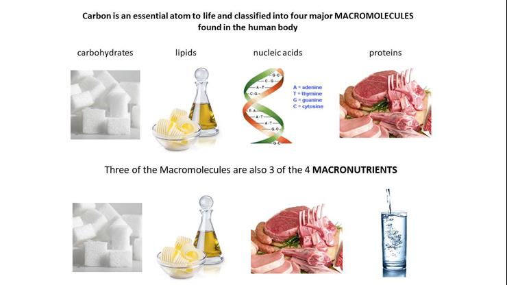 Overview of Biological Macromolecules (~35 min)