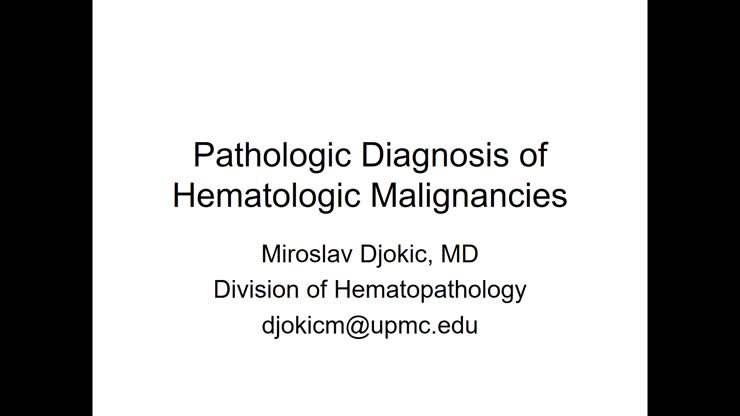 Pathologic Diagnosis of Hematologic Neoplasms