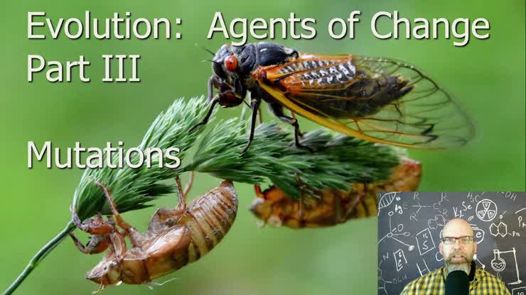 EB-Lecture-14-Chapter6-Part3-Mutations