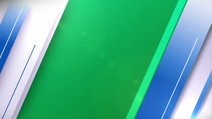 The Brightspace Basics