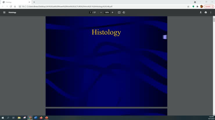 Tue Oct 12 2021 1:53:44 PM