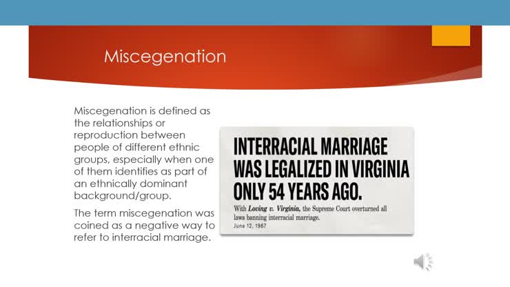 D357 What is Miscegenation