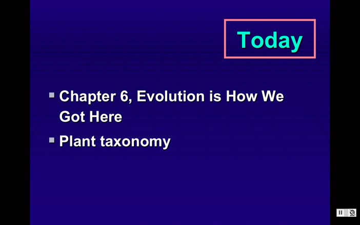 Lecture 12- Evolution