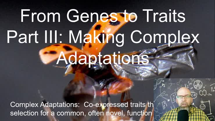 EB-Lecture-26-Genes-to-Traits-Part3