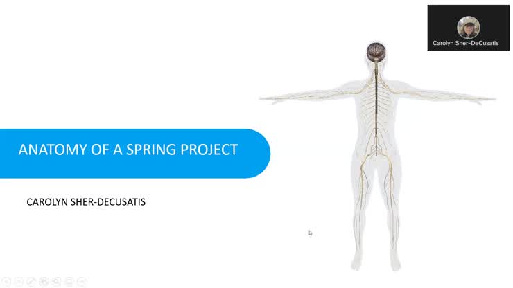 Anatomy of a Spring Project-D287,D288