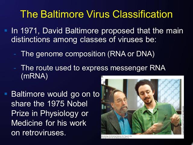 Micro M3L1b (Baltimore Classification)