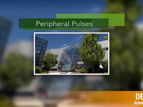 Peripheral Pulses