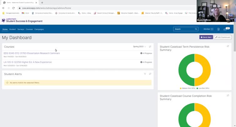 Alert Feature - Student Success & Engagement (Polzin)