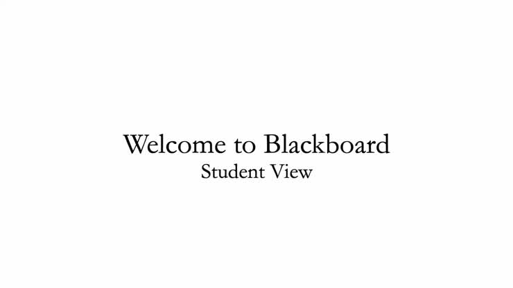 Blackboard Student Overview_2024