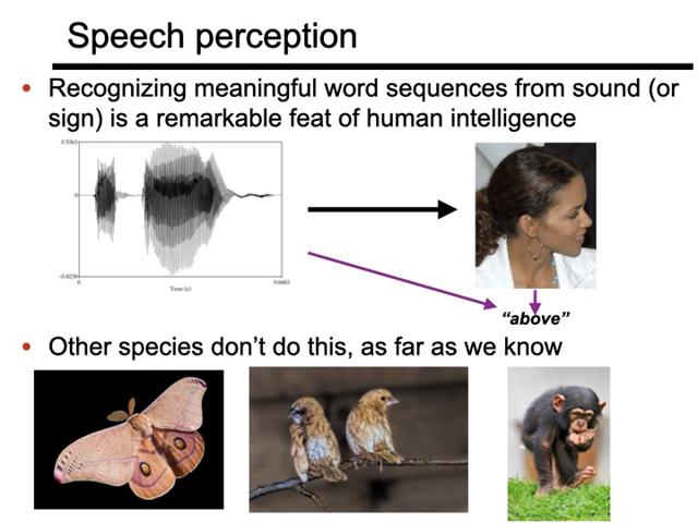 Speech Perception and Rational Analysis