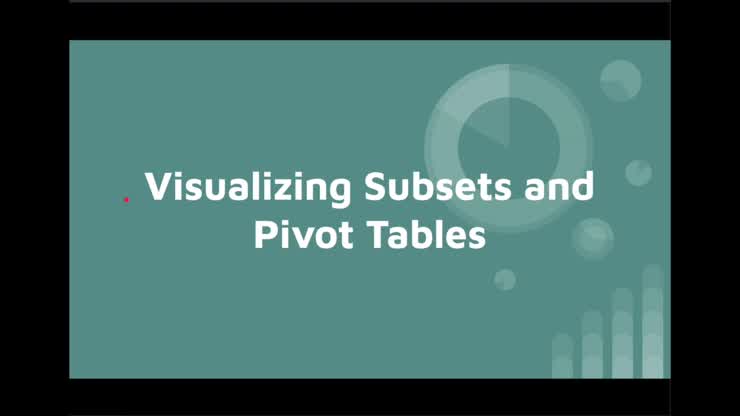 Week 12 - Visualizing Subsets & Pivot Tables