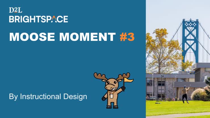 Moose Moment #3: Assessment Tools