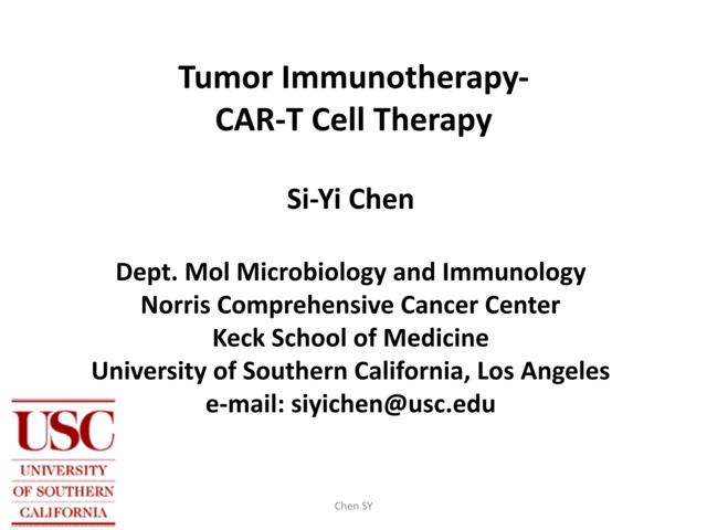 INTD 504 - Si-Yi Chen Monday, November 27, 2023 - 3pm