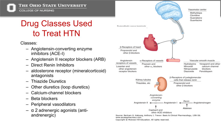 Hypertension II: ACE-I, ARB, DRI, Diuretics