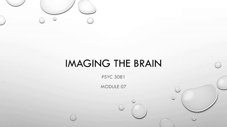 Module 07: Imaging the Brain (Video Lecture)