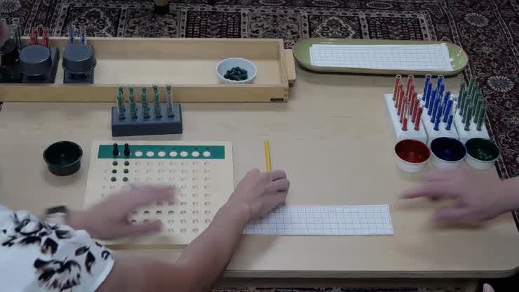 Division with Racks and Tubes (Static) (SIMS)