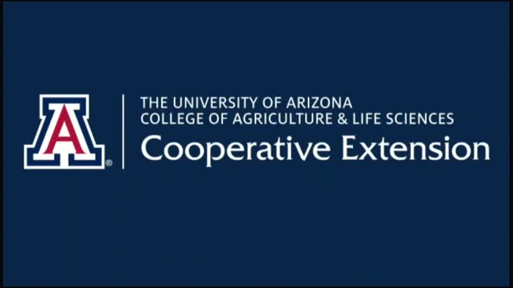 Cooperative Extension’s Quarterly Live Q&A Webinar w- Dr Jeff Silvertooth