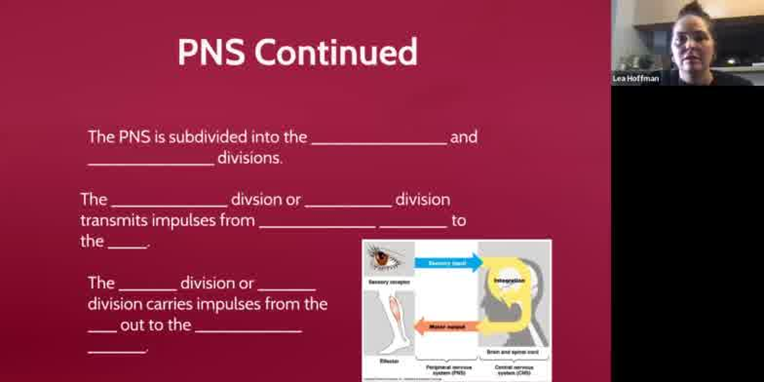 Lea Hoffman's Zoom Meeting