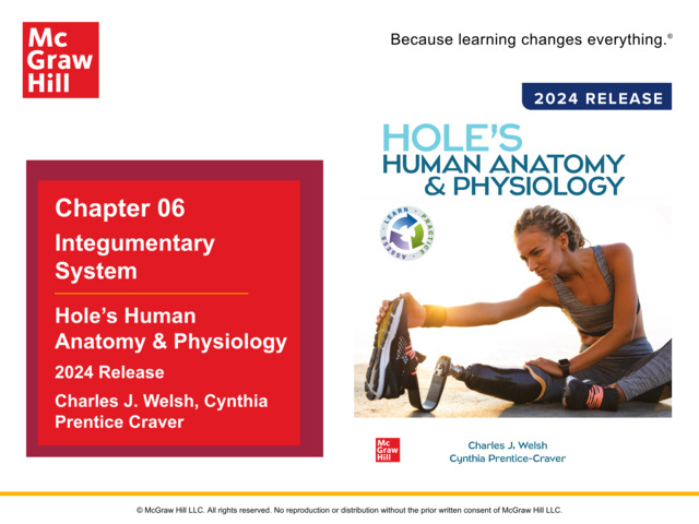 AP 1 Chapter 6