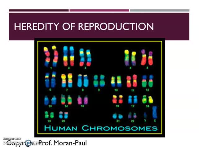 Chapter 5.11-5.18 Lesson 4 Heredity of Reproduction2