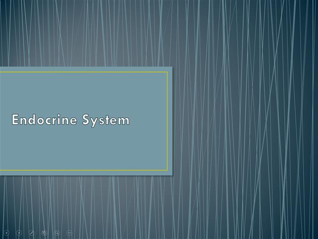 Endocrine System