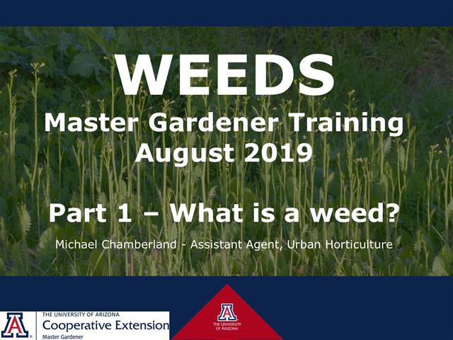 Weeds Part 1 MG Training